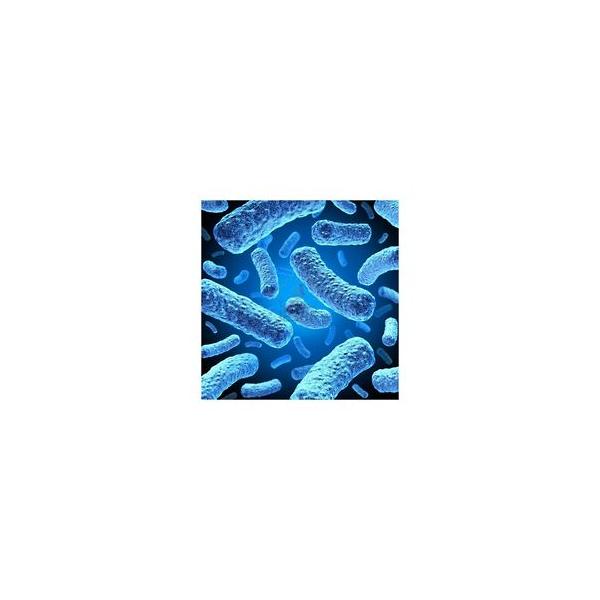 ●<商品詳細参考ページ>外部リンク：https://axel.as-1.co.jp/asone/d/62-8400-58/●事業者向け商品です。●入数：1ml