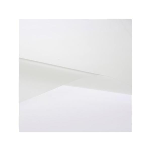 ●<商品詳細参考ページ>外部リンク：https://axel.as-1.co.jp/asone/d/62-9012-42/●事業者向け商品です。●色：半透明●幅（m）：0.297●長さ（m）：0.42●厚さ（mm）：0.125●...