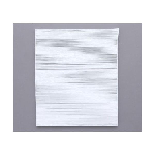 ●<商品詳細参考ページ>外部リンク：https://axel.as-1.co.jp/asone/d/62-9153-01/●EA763AD-73（旧）用集塵フィルター●入数：1枚●事業者向け商品です。