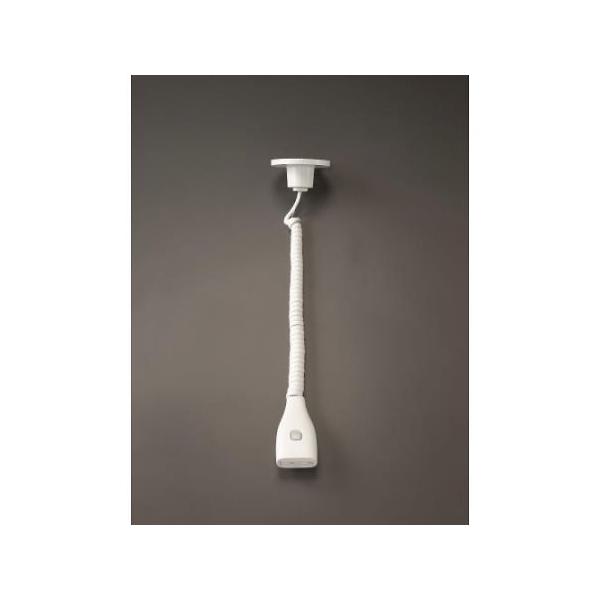 ●<商品詳細参考ページ>外部リンク：https://axel.as-1.co.jp/asone/d/62-9172-68/●定格容量：15A・125V(1500Wまで)●差込口：接地2P(抜止)●コード長：1.8m●事業者向け商...