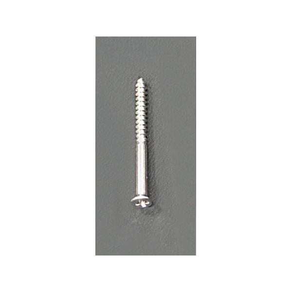 ●<商品詳細参考ページ>外部リンク：https://axel.as-1.co.jp/asone/d/62-9177-30/●サイズ（mm）：2.0×16●入数：700本●材質：キルド鋼（焼入れ処理・ニッケルメッキ）●（+）皿頭●...