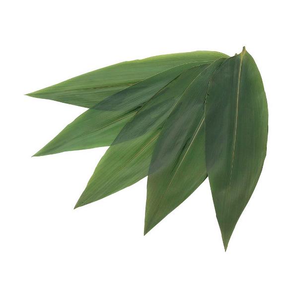 ●<商品詳細参考ページ>外部リンク：https://axel.as-1.co.jp/asone/d/63-7230-36/●事業者向け商品です。●外寸（mm）：約70〜90×約290●材質：笹葉