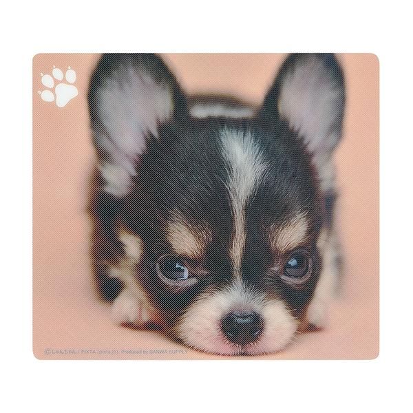 ●<商品詳細参考ページ>外部リンク：https://axel.as-1.co.jp/asone/d/64-0879-92/●事業者向け商品です。●写真品種名：チワワ●サイズ：W150×D170×H0.6mm●材質：再生PET●品...