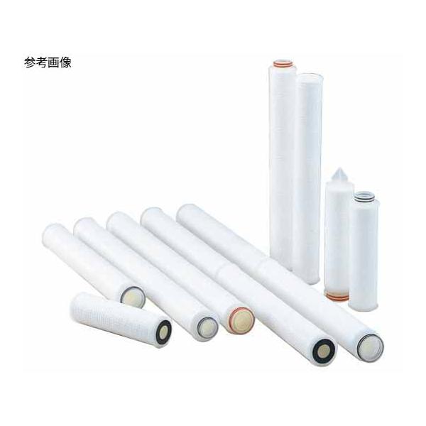 ●<商品詳細参考ページ>外部リンク：https://axel.as-1.co.jp/asone/d/64-1010-72/●事業者向け商品です。●デプスカートリッジフィルター TCPDタイプ●寸法（mm）：250●フィルター形状...