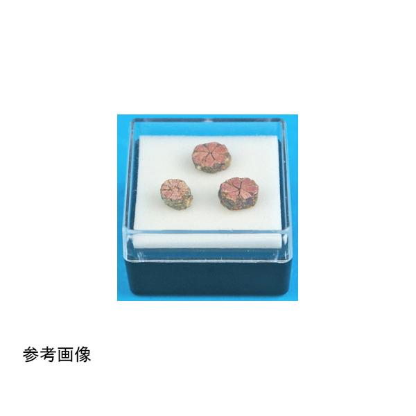 ●<商品詳細参考ページ>外部リンク：https://axel.as-1.co.jp/asone/d/64-9146-78/●事業者向け商品です。●数量：3粒●大きさ：5〜10mm●産地：京都府亀岡市●※天然物のため、形状・色にば...