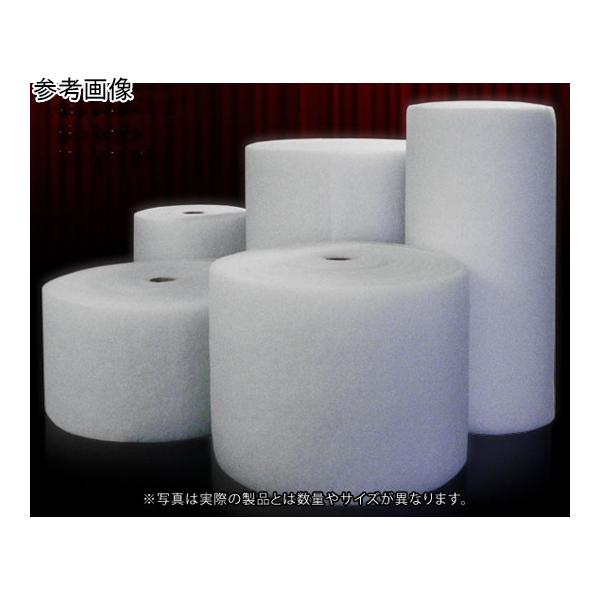 ●<商品詳細参考ページ>外部リンク：https://axel.as-1.co.jp/asone/d/65-5779-58/●事業者向け商品です。●サイズ：厚み約2mm●幅40cm×50m巻き●素材：再生ポリエステル・ビニロン●難...