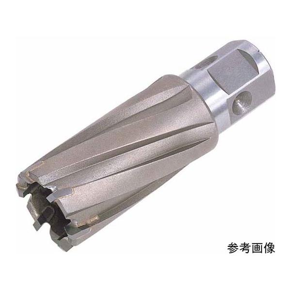 ●<商品詳細参考ページ>外部リンク：https://axel.as-1.co.jp/asone/d/65-9005-48/●事業者向け商品です。●穴あけ能力（穴径）（mm）：Φ19●穴あけ能力（最大板厚）（mm）：35●送り速度...