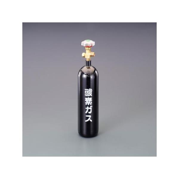 ●<商品詳細参考ページ>外部リンク：https://axel.as-1.co.jp/asone/d/67-5286-73/●事業者向け商品です。●適合品番：EA300M-0、MB-0●容量：2L●サイズ：φ100×470mm●重...