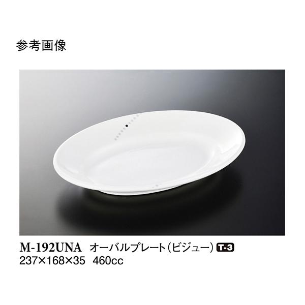 ●<商品詳細参考ページ>外部リンク：https://axel.as-1.co.jp/asone/d/68-0563-95/●事業者向け商品です。●色：ビジュー●サイズ（mm）：237×168×35●材質：メラミン樹脂●容量：46...