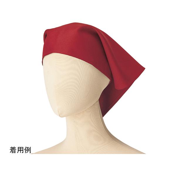 ●<商品詳細参考ページ>外部リンク：https://axel.as-1.co.jp/asone/d/68-5054-13/●事業者向け商品です。●カラー番号：3●カラー名：レッド●サイズ：999