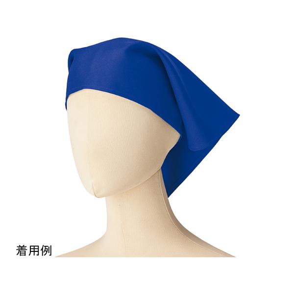 ●<商品詳細参考ページ>外部リンク：https://axel.as-1.co.jp/asone/d/68-5054-16/●事業者向け商品です。●カラー番号：7●カラー名：ブルー●サイズ：999