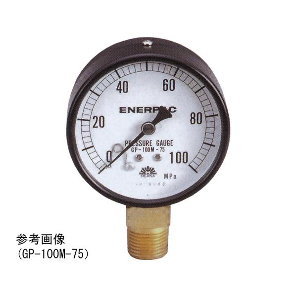 ●<商品詳細参考ページ>外部リンク：https://axel.as-1.co.jp/asone/d/69-0983-39/●事業者向け商品です。●用途：汎用型●圧力目盛範囲（MPa）：100●最小目盛単位（MPa）：2●ねじ径：...