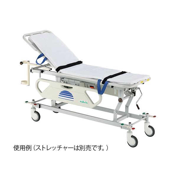 ●<商品詳細参考ページ>外部リンク：https://axel.as-1.co.jp/asone/d/7-3077-01/●幅×長さ(mm)：700※×1900(※折り返し(片側100mm)を含みません。)●入数：1袋(10枚入)...