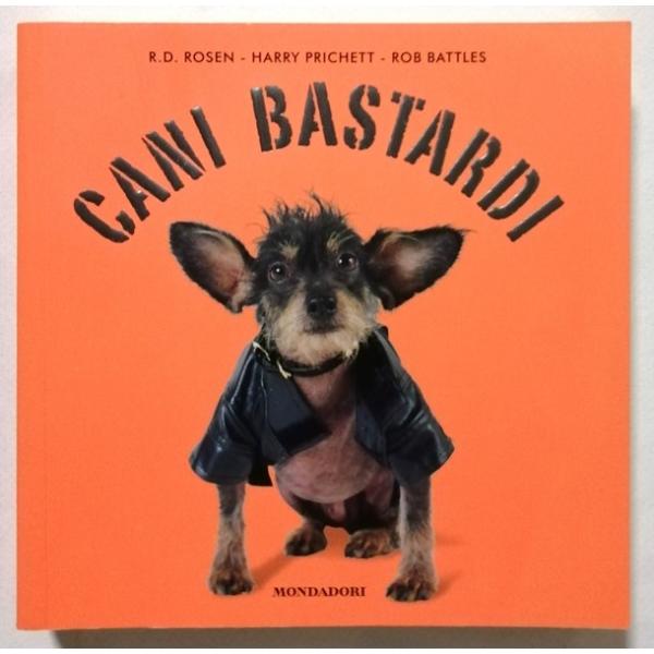 表紙に擦れあり。ページ内はご覧いただくのに支障ありません。