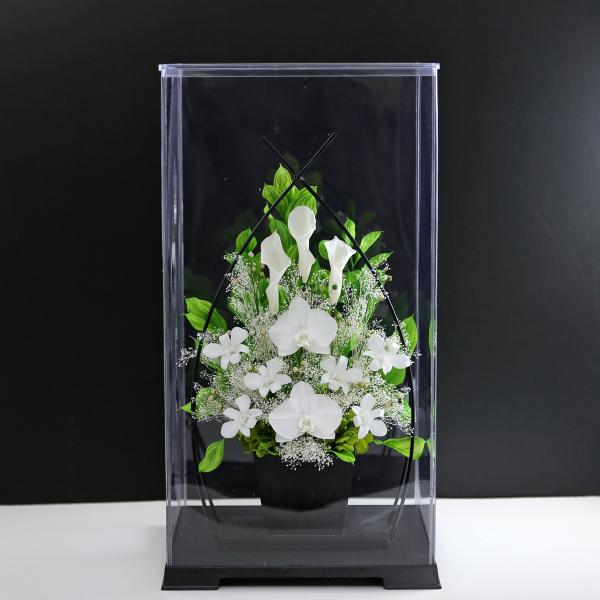 お花：プリザーブドフラワー材質：木・ワイヤ寸法(cm) ：高51　幅31　奥行20クリアケース材質：プラスックケース　　　　　　寸法(cm) ：高さ60　幅32　奥行32※1号サイズ13500円・3号サイズ20000円・25000円(ケース...