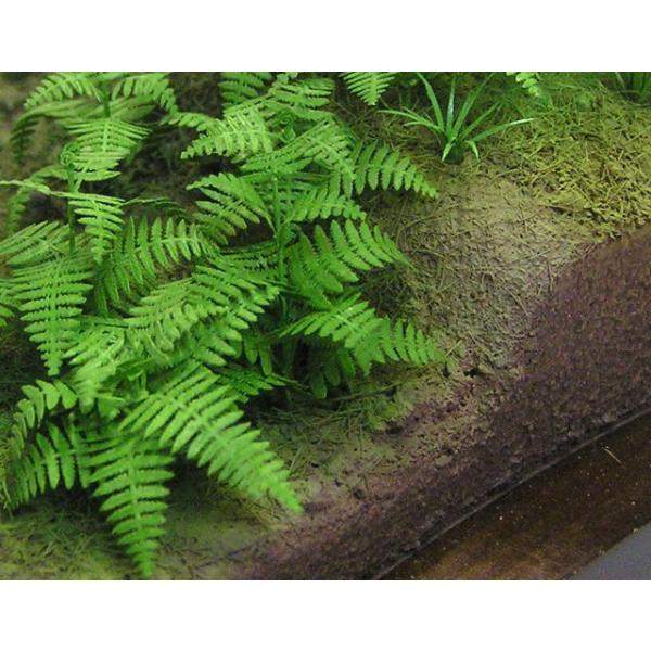 商品画像は着色完成例となっております。ペーパークラフトとなっております。A-9より小振りで形状も異なります。葉脈も再現されています。紙は緑色の上質薄紙です。キット数（制作可能数）：12〜14株主素材：薄紙上質色紙副素材：地巻きワイヤー