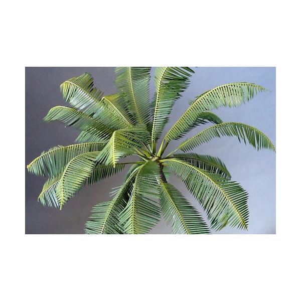 商品画像は着色完成例となっております。無着色のペーパークラフトとなっております。ココヤシと言えば最も一般的なヤシ科植物。果実はココナッツとして利用され、大戦中は食料として重宝されました。南方系のジオラマにピッタリのココヤシを、３シートセット...