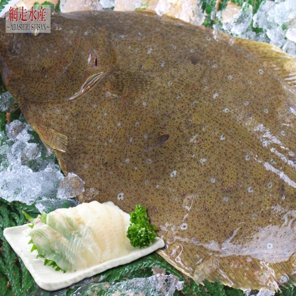 □ 商品説明 □北海道産の新鮮なひらめを内臓のみ取り除いた状態でお届けします。※用途に応じてカットしてお召し上がりください白身魚の中でもひらめは特に淡白で繊細な味わいです。特に背びれと尻びれの付け根部分の紡錘形の筋肉が重なる部分は縁側（えん...