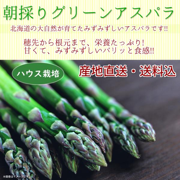 【発売日：2026年04月01日】□ 商品説明 □■発送期間：4月上旬・中旬・下旬頃朝採りたてを産地から直送いたします。■ご注意■農産物配達日指定不可やご予約商品に関しましてお客様マイページ内「注文履歴」をご参照頂いた際、システムの都合上発...