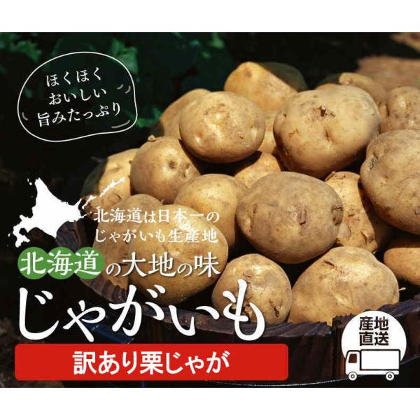 □ 商品説明 □※9月末以降の発送※予約の順番で発送していますサイズ不揃いや傷あり等、ちょっと訳ありなだけでとってもお得！！■ご注意■農産物配達日指定不可やご予約商品に関しましてお客様マイページ内「注文履歴」をご参照頂いた際、システムの都合...