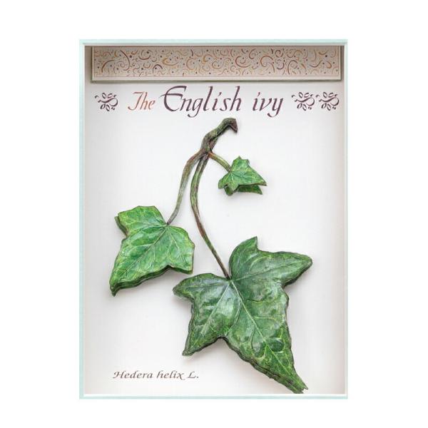 商品名： シャドープリント「The　English lvy」  メール便/宅配便可品　番： 3d-yt0214サイズ： 約100×128mm詳　細： （プリント3枚）テキスト付・1シート12コマ印刷
