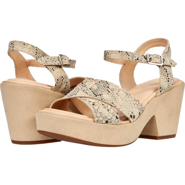 商品名: Clarks Maritsa70 Strap Taupe Snake 10 B (M) Clarks Maritsa70 Strap Taupe Snake 10 B (M)ブランド: Clarks(クラークス)商品サイズ: 10...