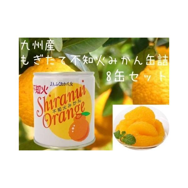 不知火みかんは厳選した九州産を使用！酸味が少なく、甘みが特徴で、果汁たっぷりでジューシーな不知火みかんだけを選びました。手間隙かけてグラニュー糖から作った上品な甘さのシラップに、不知火の豊な香りと爽やかさで気品に満ちた味わいをいちだんと引き...