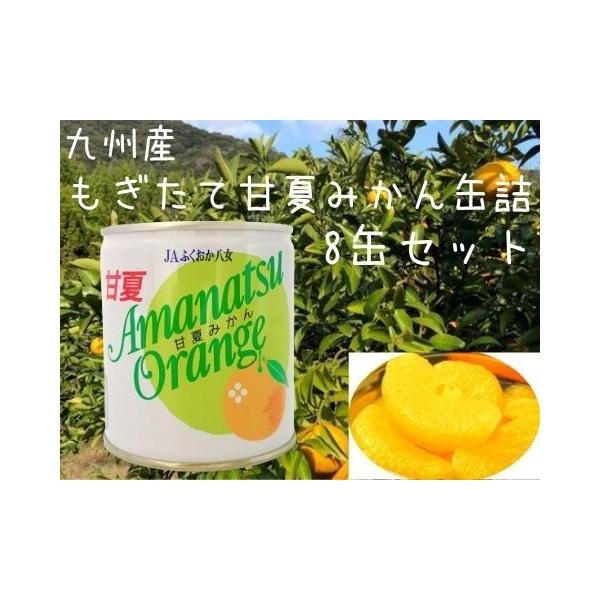 旬の最盛期に採れた新鮮な九州産甘夏みかんをやさしい甘味が特徴のシラップに漬け込みました。厚い果肉はぷりぷりした食感でボリューム満点。甘夏特有の「甘味・酸味・苦み」が絶妙なバランスの甘夏缶詰です。ヨーグルトに添えたり、サラダに和えたりする食べ...