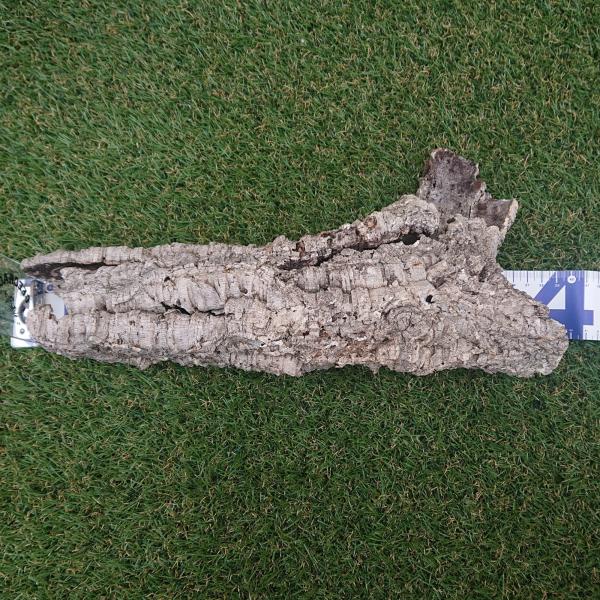 ポルトガル産の天然コルク樹皮（チューブ状）です。コルク樫の樹皮から作られた天然素材で、軽量で耐久性があり、爬虫類テラリウムのレイアウト素材やシェルターとして人気があります。筒状の形状は爬虫類の隠れ家として使用しやすく、自然に近い環境を再現す...