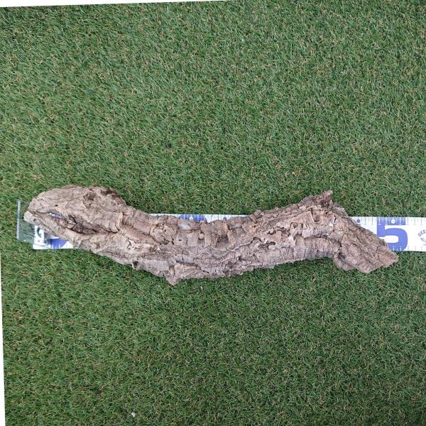 ポルトガル産の天然コルク樹皮（チューブ状）です。コルク樫の樹皮から作られた天然素材で、軽量で耐久性があり、爬虫類テラリウムのレイアウト素材やシェルターとして人気があります。筒状の形状は爬虫類の隠れ家として使用しやすく、自然に近い環境を再現す...