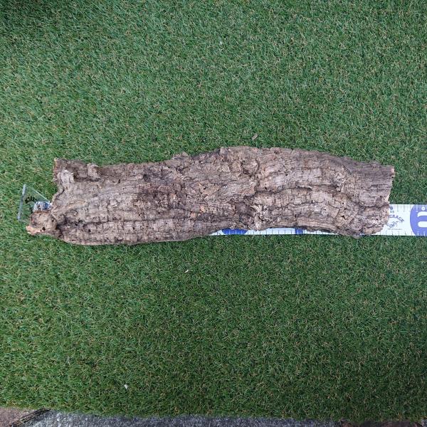 ポルトガル産の天然コルク樹皮（チューブ状）です。コルク樫の樹皮から作られた天然素材で、軽量で耐久性があり、爬虫類テラリウムのレイアウト素材やシェルターとして人気があります。筒状の形状は爬虫類の隠れ家として使用しやすく、自然に近い環境を再現す...