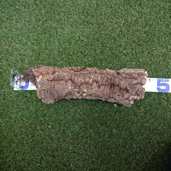 ポルトガル産の天然コルク樹皮（チューブ状）です。コルク樫の樹皮から作られた天然素材で、軽量で耐久性があり、爬虫類テラリウムのレイアウト素材やシェルターとして人気があります。筒状の形状は爬虫類の隠れ家として使用しやすく、自然に近い環境を再現す...