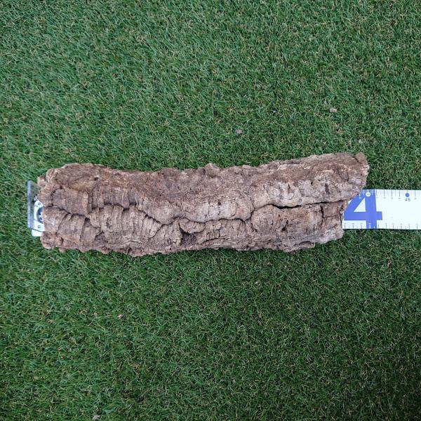 ポルトガル産の天然コルク樹皮（チューブ状）です。コルク樫の樹皮から作られた天然素材で、軽量で耐久性があり、爬虫類テラリウムのレイアウト素材やシェルターとして人気があります。筒状の形状は爬虫類の隠れ家として使用しやすく、自然に近い環境を再現す...