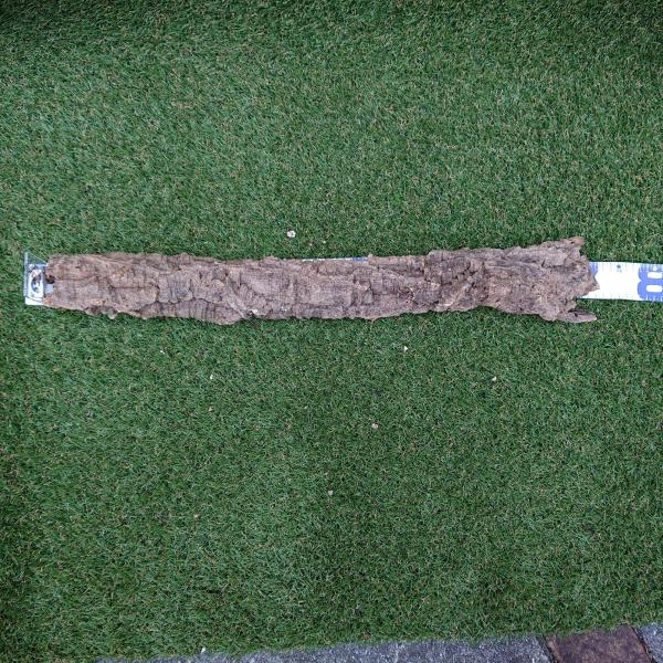 ポルトガル産の天然コルク樹皮（チューブ状）です。コルク樫の樹皮から作られた天然素材で、軽量で耐久性があり、爬虫類テラリウムのレイアウト素材やシェルターとして人気があります。筒状の形状は爬虫類の隠れ家として使用しやすく、自然に近い環境を再現す...