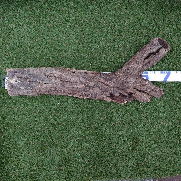 ポルトガル産の天然コルク樹皮（チューブ状）です。コルク樫の樹皮から作られた天然素材で、軽量で耐久性があり、爬虫類テラリウムのレイアウト素材やシェルターとして人気があります。筒状の形状は爬虫類の隠れ家として使用しやすく、自然に近い環境を再現す...