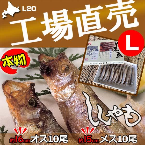 ■ししゃも オス10尾16cm メス10尾15cm  L20セットオス(約16ｃｍ)ｘ1０尾   メス(約15ｃｍ)ｘ1０尾のセットです。送料税込み価格で、冷凍便で工場から直送いたします。北海道の太平洋側の一部地域、主に 鵡川 沙流川 釧路...