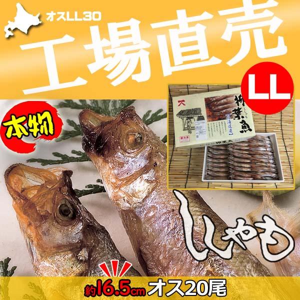 ■ししゃも シシャモ 北海道産 送料無料 ギフト 本ししゃも 柳葉魚 干物 オス20尾16.5cm 工場直送 オスLL20オス(約16.5ｃｍ)ｘ20尾のセットです。送料税込み価格で、冷凍便で工場から直送いたします。北海道の太平洋側の一部地...