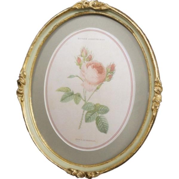 ルドゥーテの薔薇絵をはめ込んだ額絵です。（ナポレオン1世の皇后ジョゼフィーヌがマルメゾン城にバラ園を営み、世界中からバラを蒐集していることを知ったルドゥーテはバラの絵を描くことを思い立ち、ジョゼフィーヌからバラ園の出入りの許可を得た。以来、...