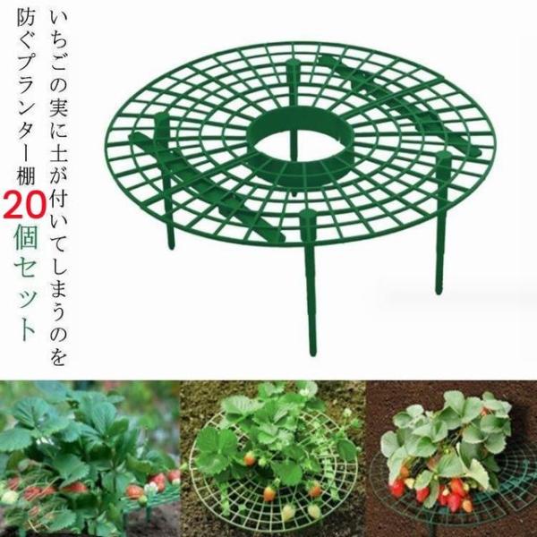 サイズ：掲載写真をご参照くださいませ。数：20毎年イチゴの収穫時期の大きな悩みだった泥はねや害虫対策の問題を解決してくれると思っています。