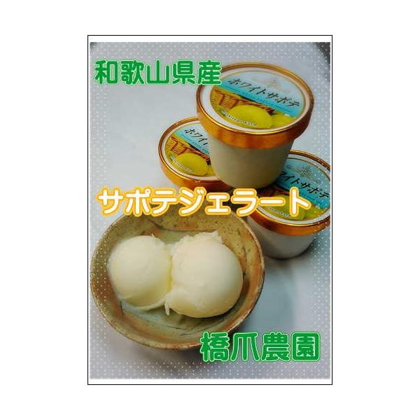 【発売日：2025年11月16日】２０２５年産　橋爪農園で採れた新鮮なホワイトサポテの果実を使ったジェラートが出来ました。希少な国産サポテをたっぷり使った贅沢なジェラートです(*^▽^*)食後のデザートにいかがでしょうか♪★８個入りです。※...