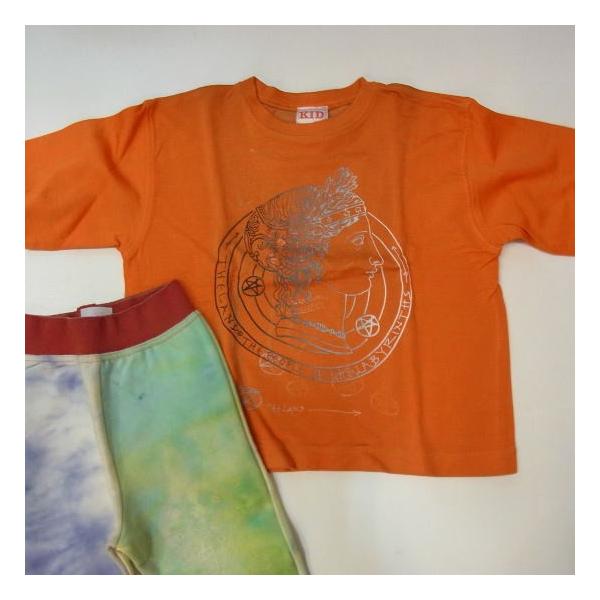 The People of The LabyrinthsMADE IN　HOLLAND素材キッズ4才〜5才児用着丈40.5cm 身幅41cm肩幅39cm 袖丈37cm素材コットン、レーヨン、ポリアミド中央のプリントがアーティスティックで、繊...