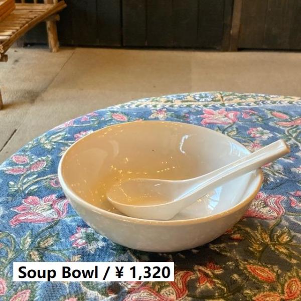 SIZEW16×D16×H5.5cmMATERIAL半磁器食器洗浄器：○made in Indiaインドのホテルやレストランで使われている業務用の食器メーカーSAMRAT。業務用の洋食器には磁器のものがよく使われていますが、SAMRATの器...