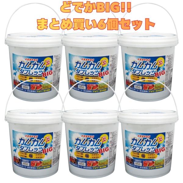 ●●●１ケース（６個入）爆買い応援セール！●●●【2026年最新入荷分です】おいしく熱中症対策！■ 沖縄の海水を100％原料にしたミネラル豊富な上質な塩を使用■ アレルギー物質（28品目）不使用■美味しく食べられるミックスボトル好みに合わせ...