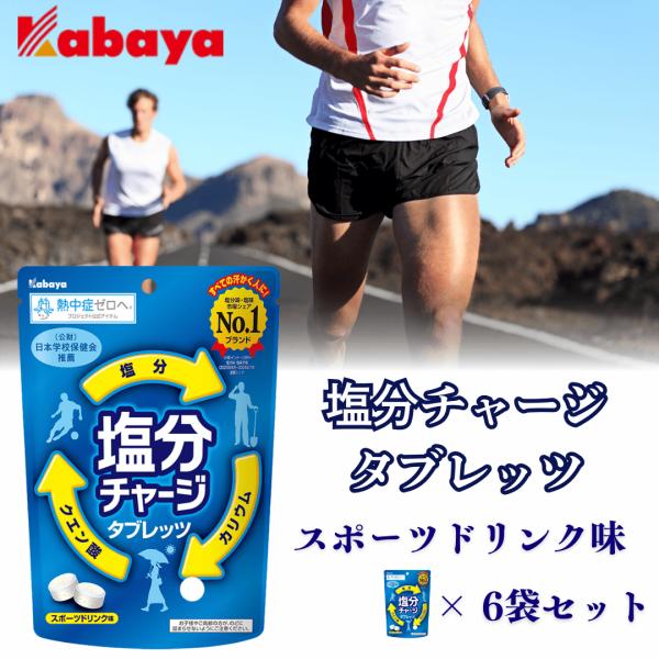 注意：個包装にしてのお届けになります。6袋あたり150個になります。説明画像をご覧ください。熱中症対策の新習慣。手軽に塩分と水分を補給！汗をかくと、身体は水分だけでなく「塩分」も失います。「塩分チャージタブレッツ」は、カバヤ食品が開発した、...