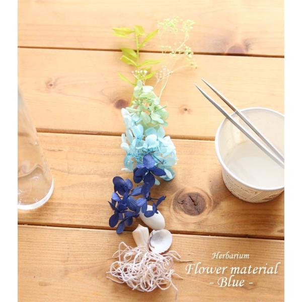 深海をイメージした、ハーバリウム花材キットです。ブルー/青を基調としたクールなハーバリウムが出来上がります。海底や海藻などをイメージしています！サイズ：1パック※材料の量は写真よりも前後する場合がございます。一つ一つ手作業にてパックにしてお...