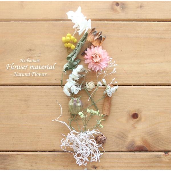 サイズ：1パック※材料の量は写真よりも前後する場合がございます。一つ一つ手作業にてパックにしておりますので、予めご了承ください。素材：プリザーブドフラワーなど備考：※在庫状況により、類似の花材や材料に変更となる場合がございます。※一部パーツ...