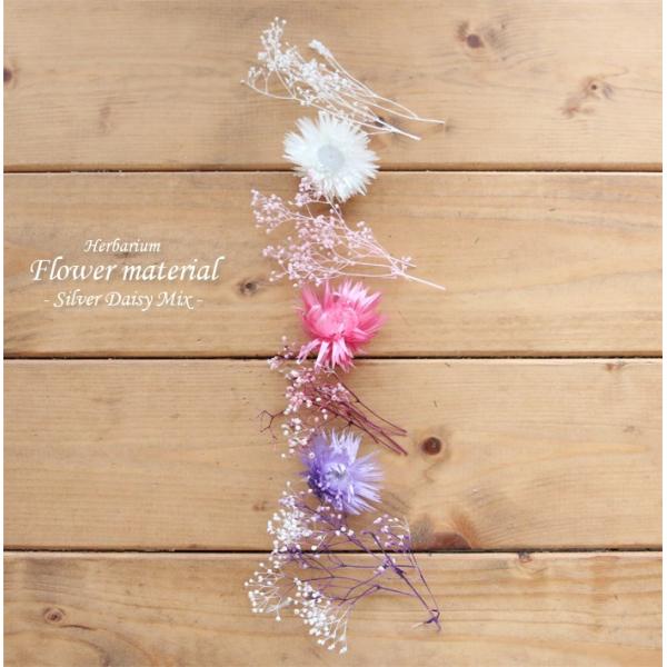 サイズ：1パック※材料の量は写真よりも前後する場合がございます。一つ一つ手作業にてパックにしておりますので、予めご了承ください。素材：ドライフラワー、プリザーブドフラワー備考：※在庫状況により、類似の花材や材料に変更となる場合がございます。...