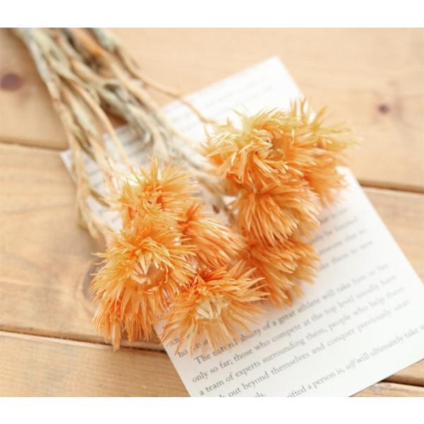 入手困難な花材！シルバーデージーを限定販売！こちらはアプリコット（オレンジ）カラーです。数量限定で入荷しましたので、小分け10本入り（10輪）にして限定販売いたします。・1束10本（＝10輪）・長さ：約25cm前後※サイズ個体差あり※枝の本...