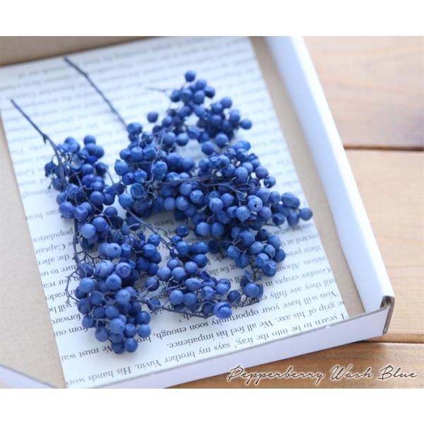 大人気のペッパーベリー！ウォッシュブルー色です。数量限定でペッパーベリーを各色販売中！入手困難な花材です。国内花材メーカー様より仕入れたばかりの綺麗なペッパーベリーです。サイズ：1パック：約3枝前後（全体の長さを約10cm前後にカットしての...