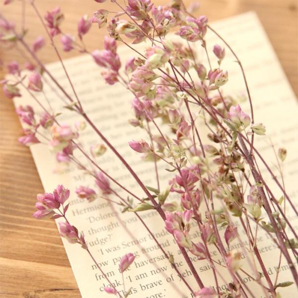 エレガントで上品な花材、オレガノサンタクルーズが小分けになって新登場！当店もハーバリウムで愛用している大好きな花材の一つです。シンプルでナチュラルなハーバリウムができます！アロマワックスバーや各種フラワーアレンジメント、スワッグ等にも使用し...